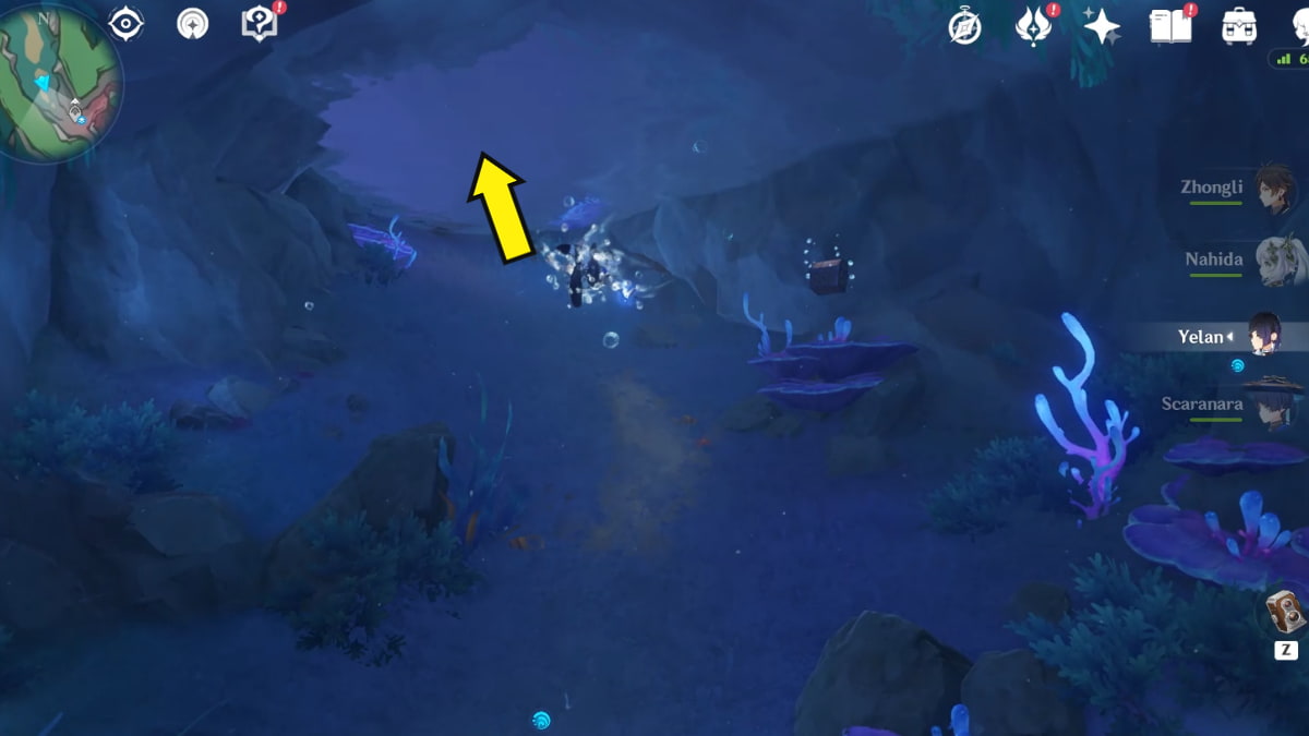 How to farm Fontemer Unihorn & find Millennial Pearl Seahorse in ...