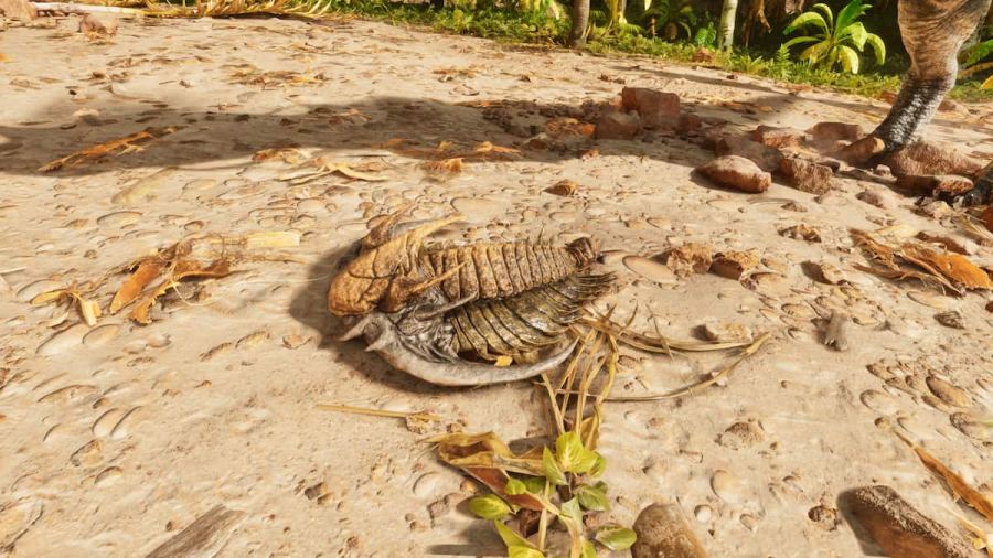 How to get Oil in ARK Survival Ascended | Pro Game Guides