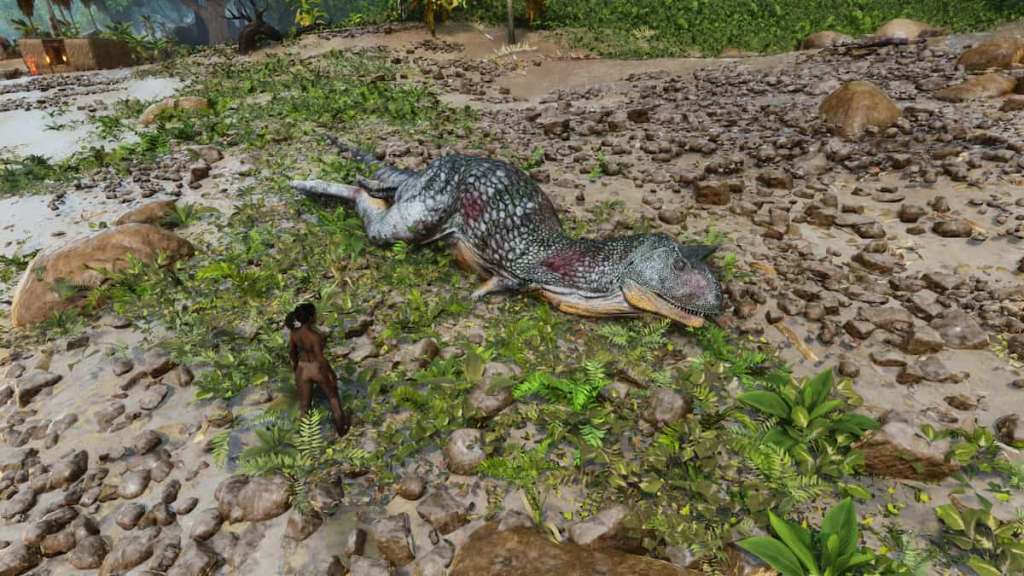 Best Single Player Settings for ARK Survival Ascended | Pro Game Guides