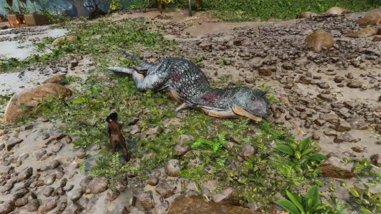 Best Single Player Settings for ARK Survival Ascended | Pro Game Guides