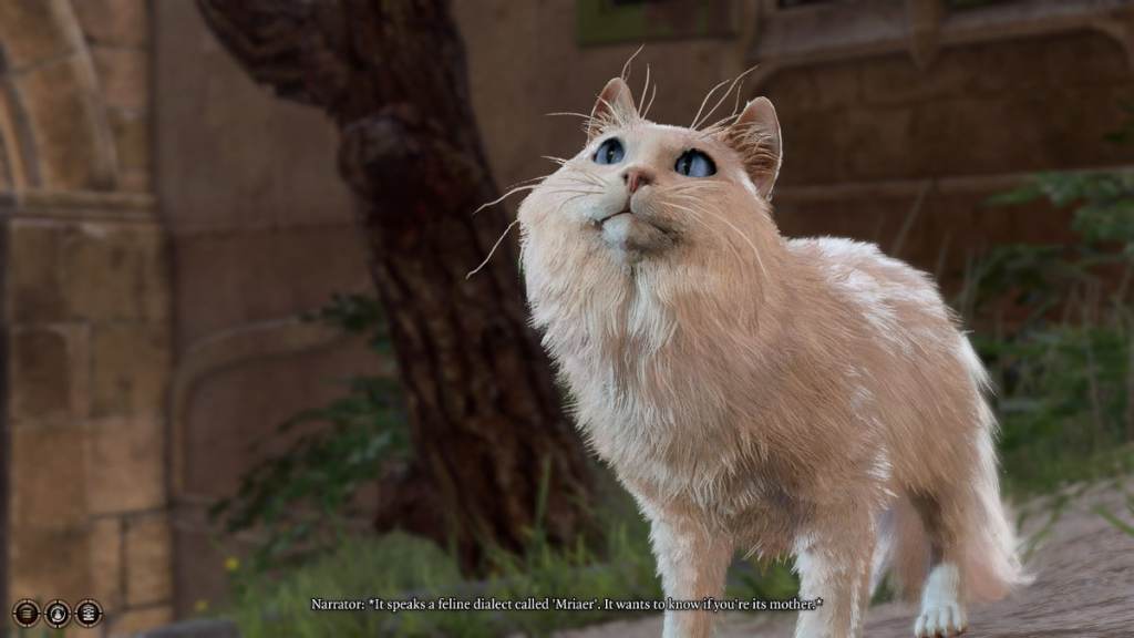 Can you adopt Myksha the Cat in Baldur's Gate 3? | Pro Game Guides