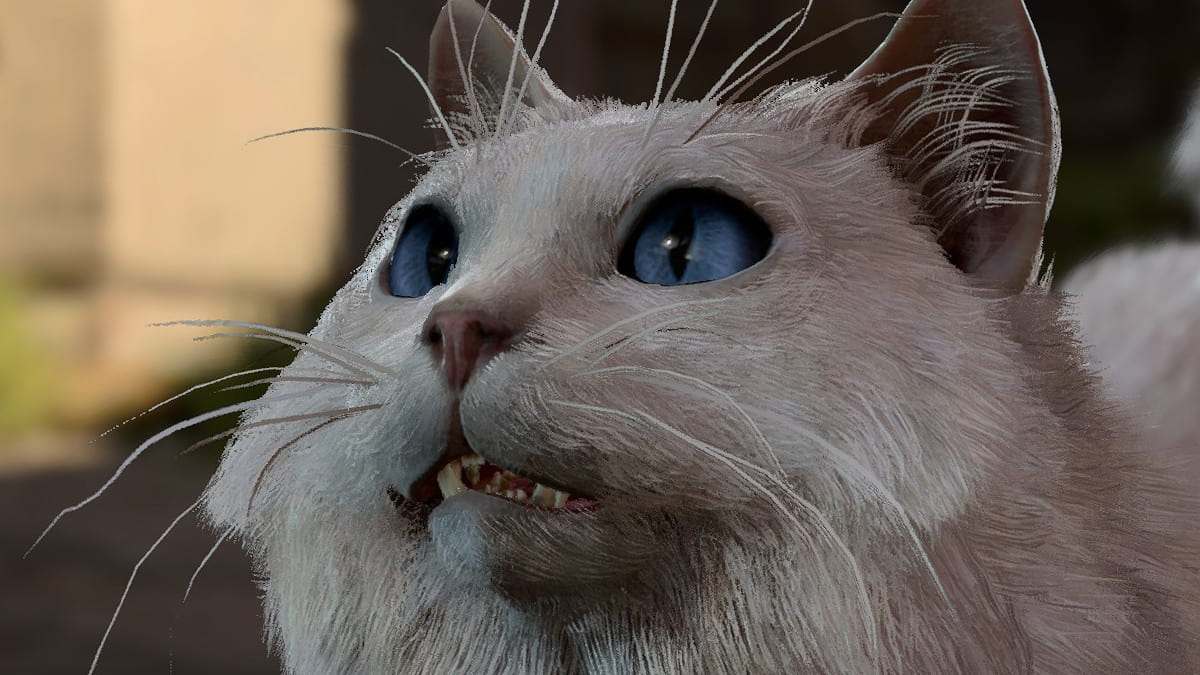 Can you adopt Myksha the Cat in Baldur's Gate 3? | Pro Game Guides