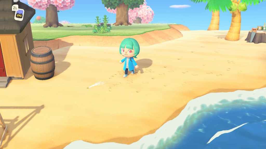 How to get Manila Clams in Animal Crossing | Pro Game Guides