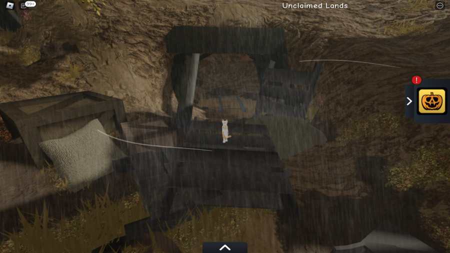 How to complete the 2023 Halloween event in Warrior Cats: Ultimate Edition (Phase 1) - Roblox ...