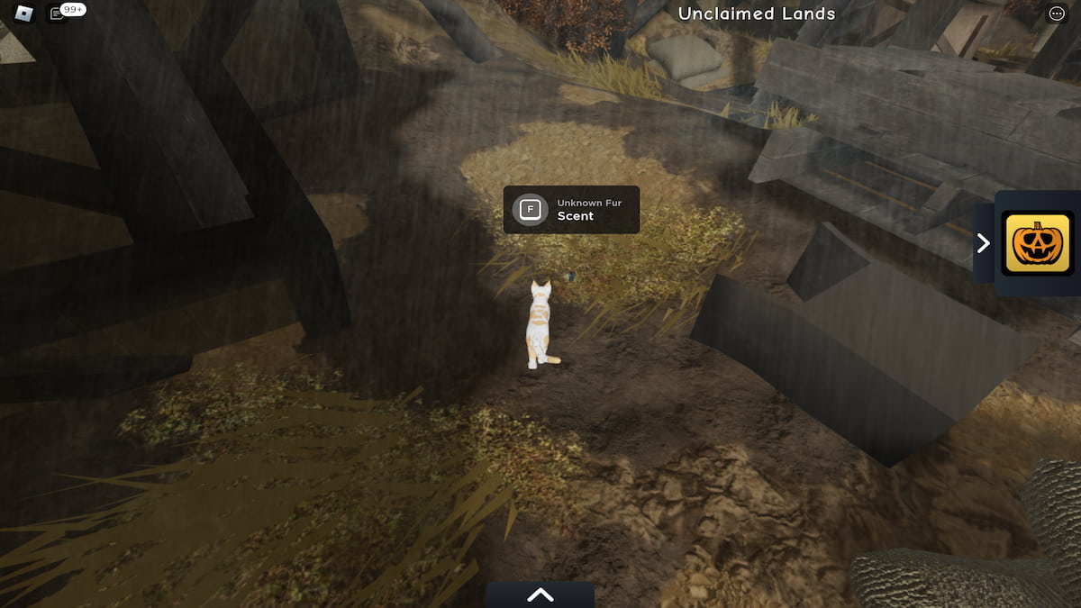 How to complete the 2023 Halloween event in Warrior Cats: Ultimate Edition (Phase 1) - Roblox ...