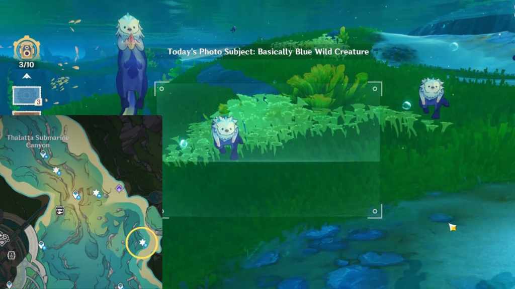 Where to find Basically Blue Wild Creature in Genshin Impact – Graph ...