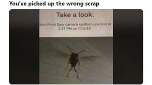 Best Lethal Company Memes | Pro Game Guides