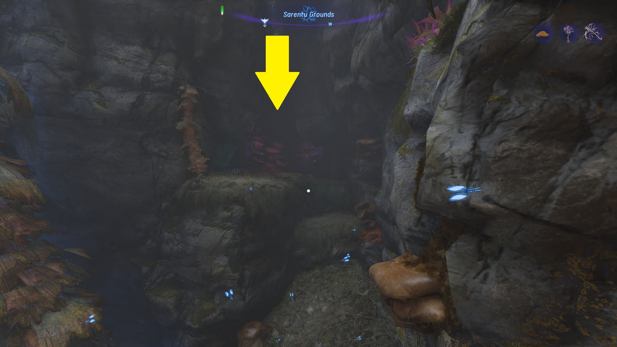 How to find and get the Free Fast Travel Ancestor Skill in Avatar ...