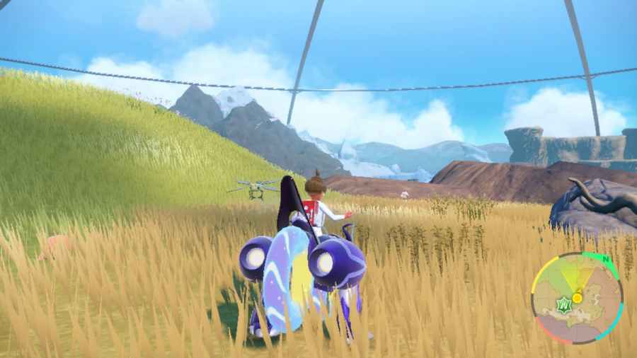 Where to take a photo of Pokémon in flight in The Indigo Disk Pokémon ...