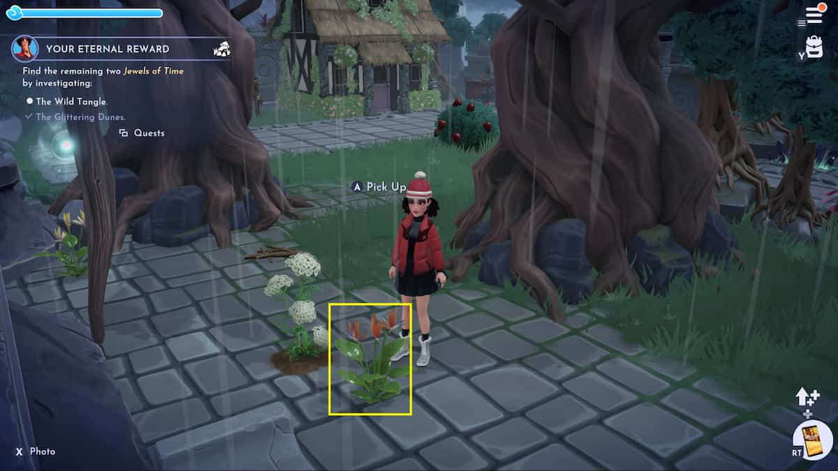 Where to find Orange Bird of Paradise in Disney Dreamlight Valley | Pro ...