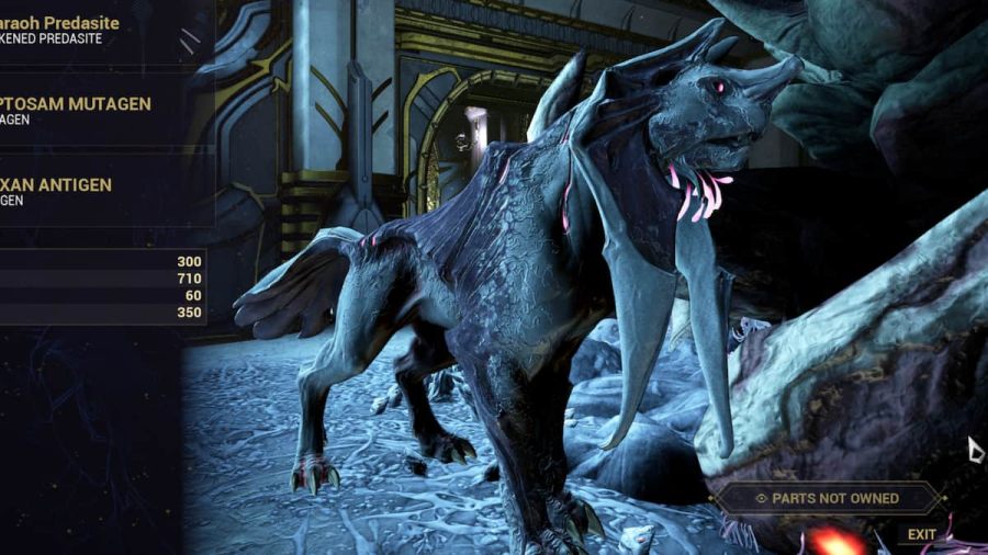 All Warframe Companions, Ranked | Pro Game Guides
