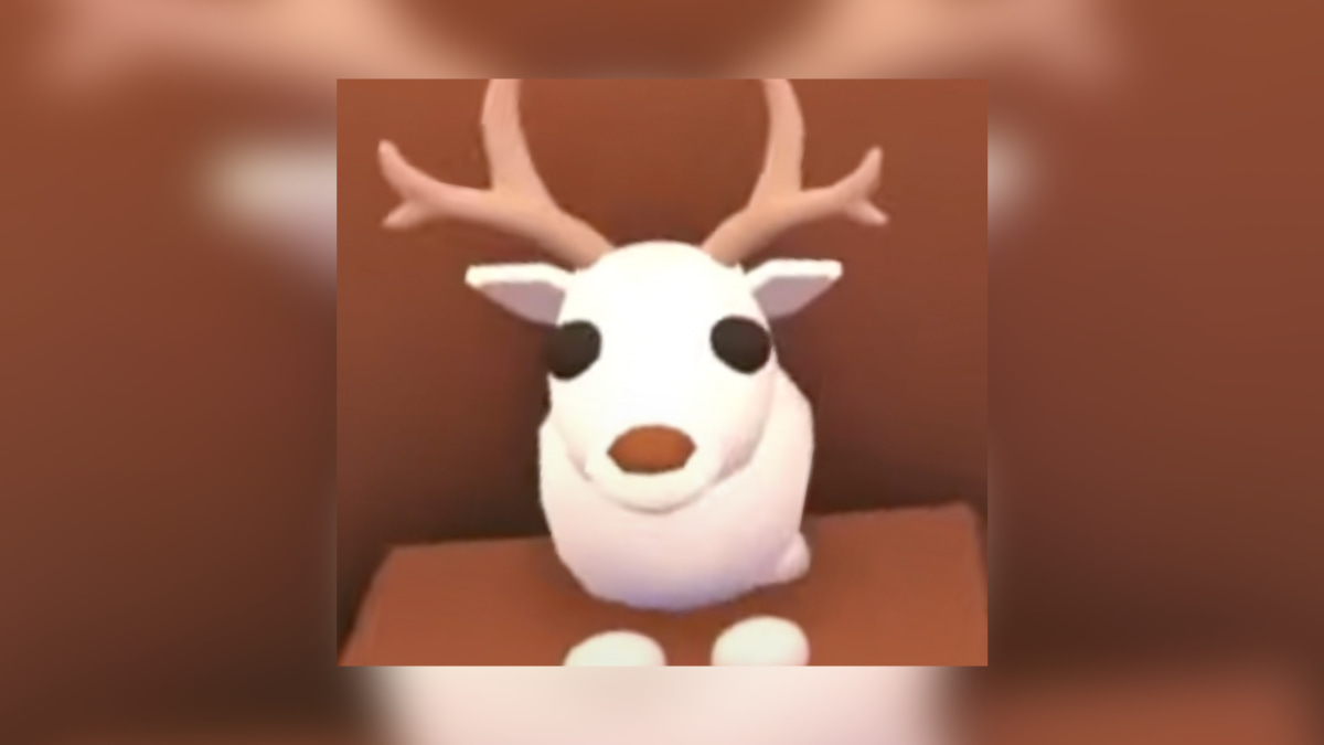 All Christmas Pets in Adopt Me! (2019-Present) - Roblox | Pro Game Guides