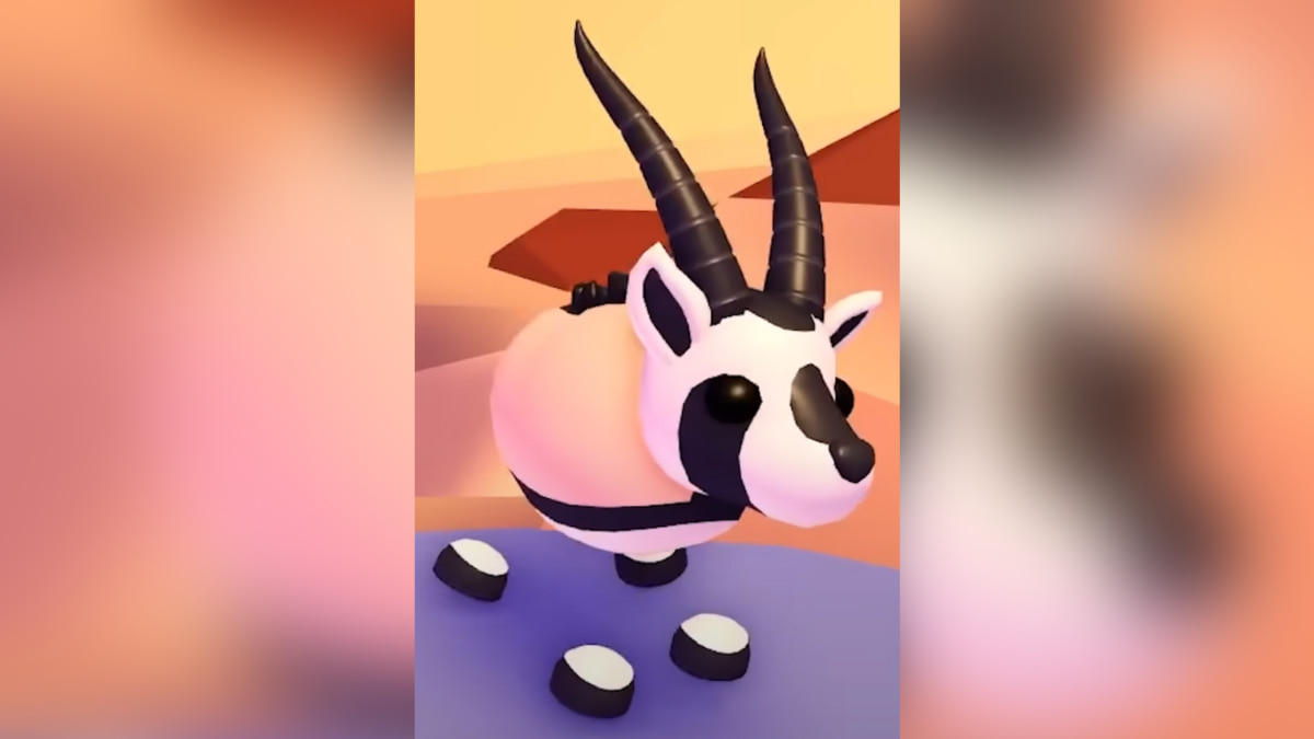 All pets that can be hatched from the Desert Egg in Adopt Me! – Roblox ...