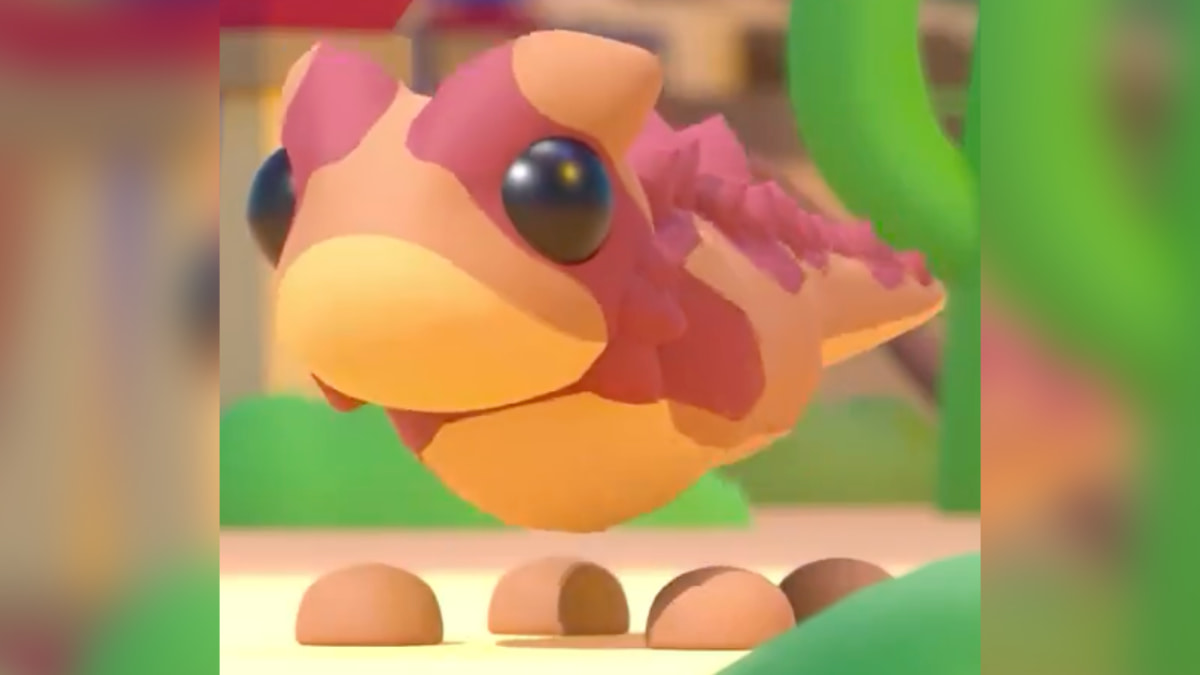 All pets that can be hatched from the Desert Egg in Adopt Me! – Roblox | Pro Game Guides