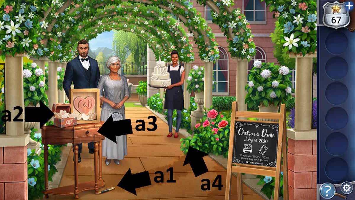 AE Mysteries Picture Perfect walkthrough | Pro Game Guides