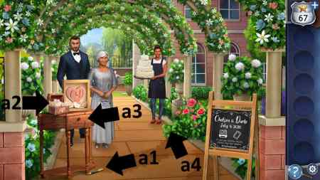 AE Mysteries Picture Perfect walkthrough | Pro Game Guides