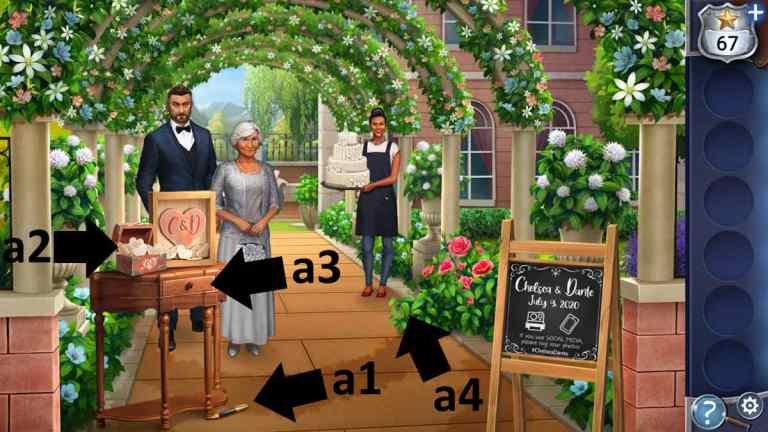 AE Mysteries Picture Perfect walkthrough | Pro Game Guides