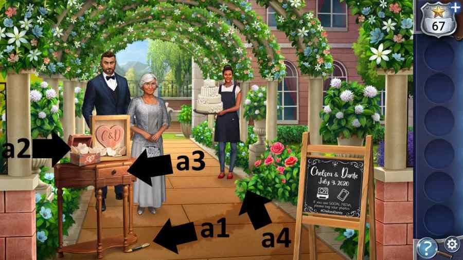 AE Mysteries Picture Perfect walkthrough | Pro Game Guides