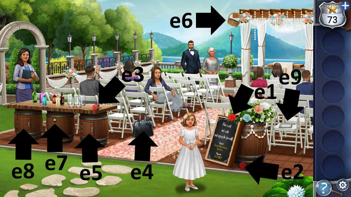 AE Mysteries Picture Perfect walkthrough | Pro Game Guides