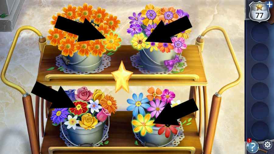 AE Mysteries Picture Perfect walkthrough - Pro Game Guides