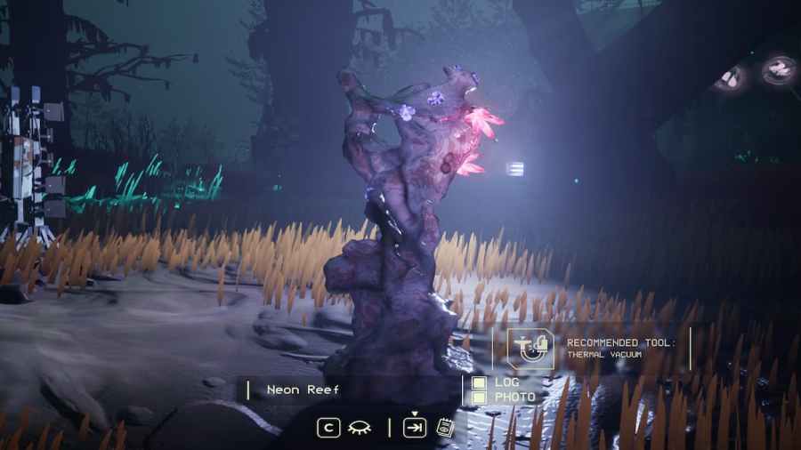 How to get Swamp Coral in Pacific Drive (Map) | Pro Game Guides