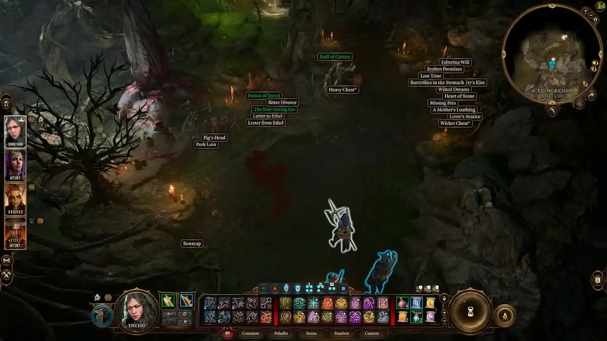 BG3 Overgrown Tunnel walkthrough - Auntie Ethel questline in Baldur's Gate 3 - Pro Game Guides