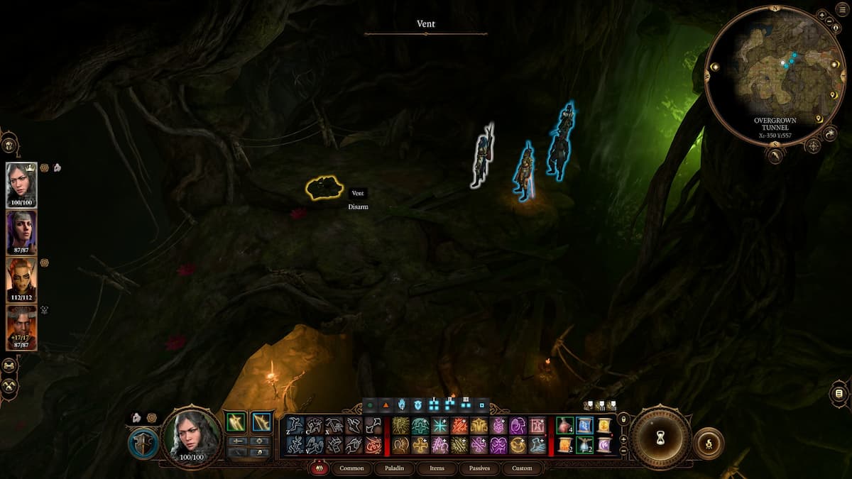 BG3 Overgrown Tunnel walkthrough - Auntie Ethel questline in Baldur's Gate 3 | Pro Game Guides