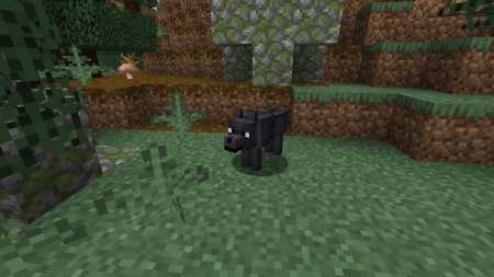All Wolf variants and where to find them in Minecraft | Pro Game Guides