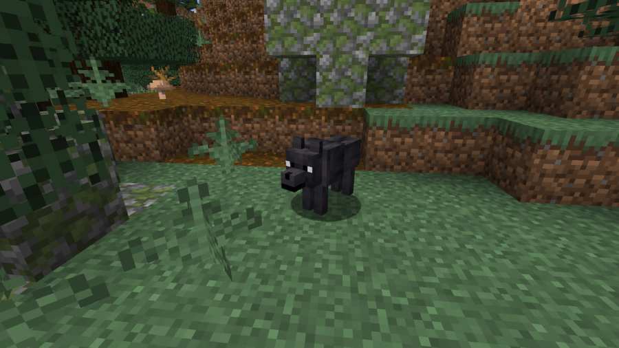 All Wolf variants and where to find them in Minecraft | Pro Game Guides