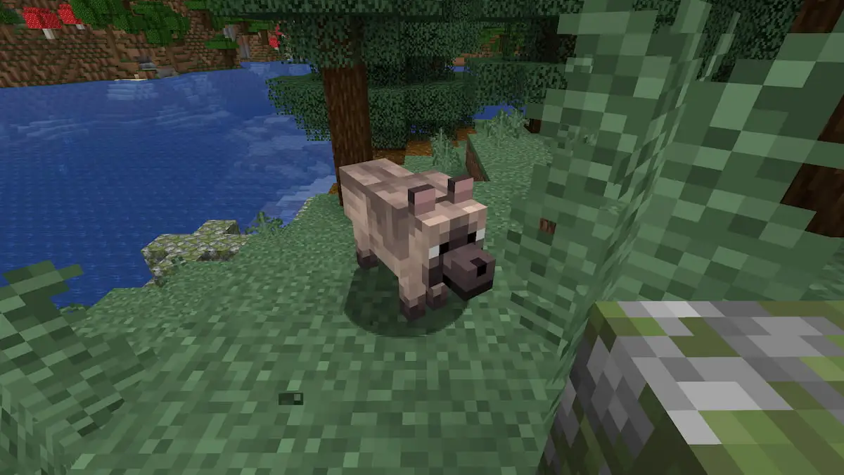 All Wolf variants and where to find them in Minecraft | Pro Game Guides