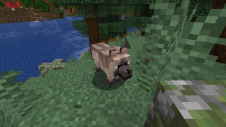 All Wolf variants and where to find them in Minecraft | Pro Game Guides