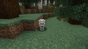 All Wolf variants and where to find them in Minecraft | Pro Game Guides
