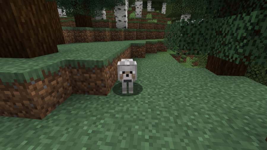 All Wolf variants and where to find them in Minecraft | Pro Game Guides