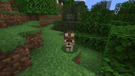 All Wolf variants and where to find them in Minecraft | Pro Game Guides