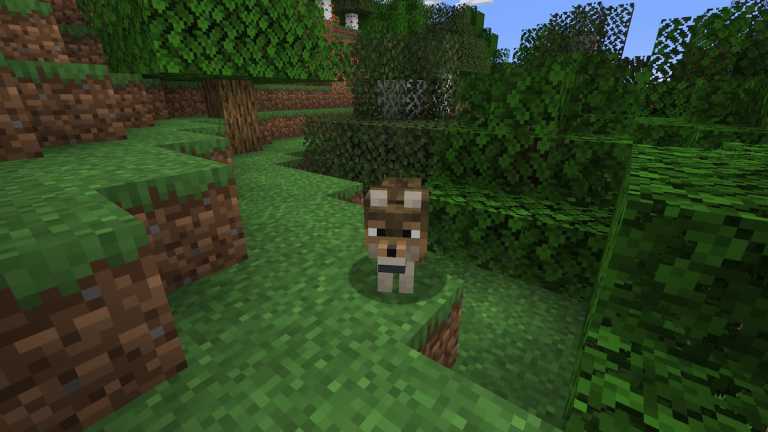 All Wolf variants and where to find them in Minecraft | Pro Game Guides