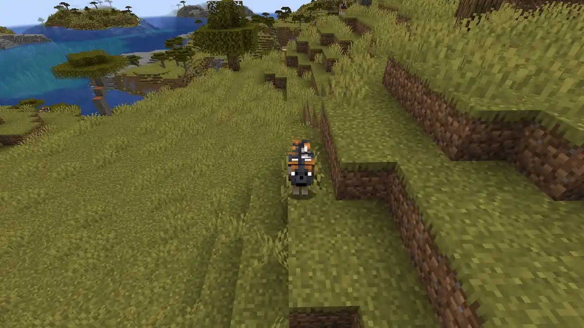 All Wolf variants and where to find them in Minecraft | Pro Game Guides