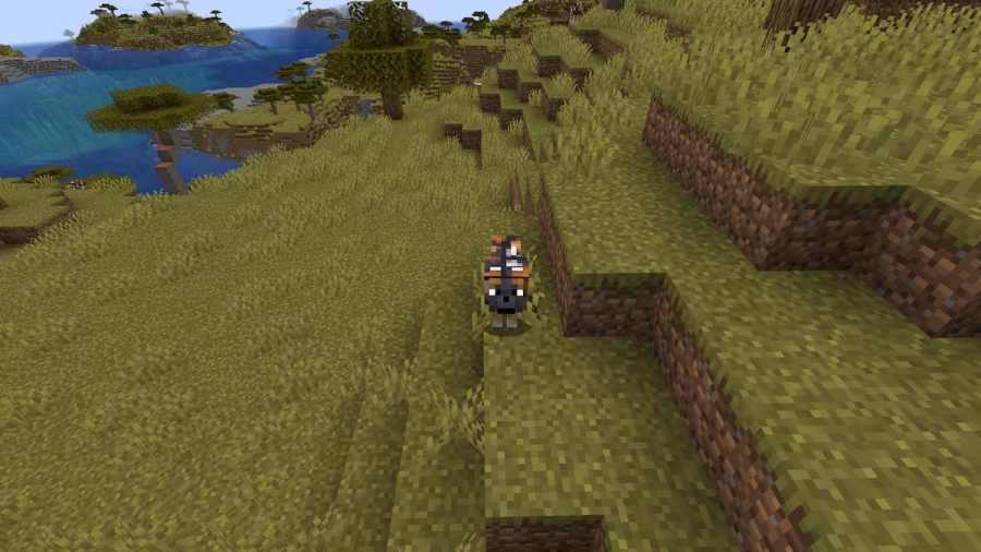 All Wolf variants and where to find them in Minecraft | Pro Game Guides