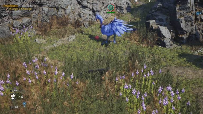 How to wrangle every Chocobo in FF7 Rebirth | Pro Game Guides