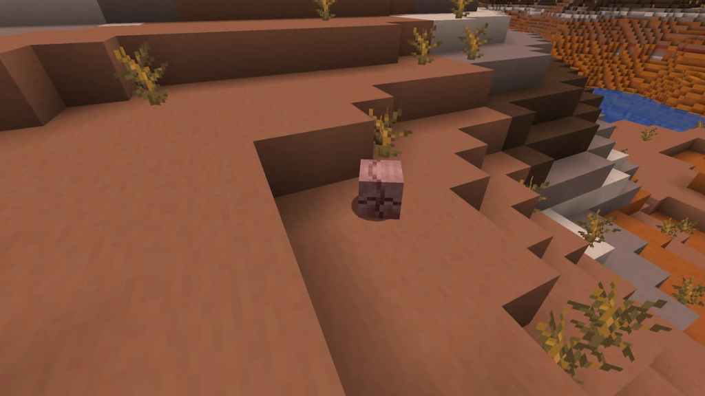 Minecraft Armadillo Spawn Locations | Pro Game Guides