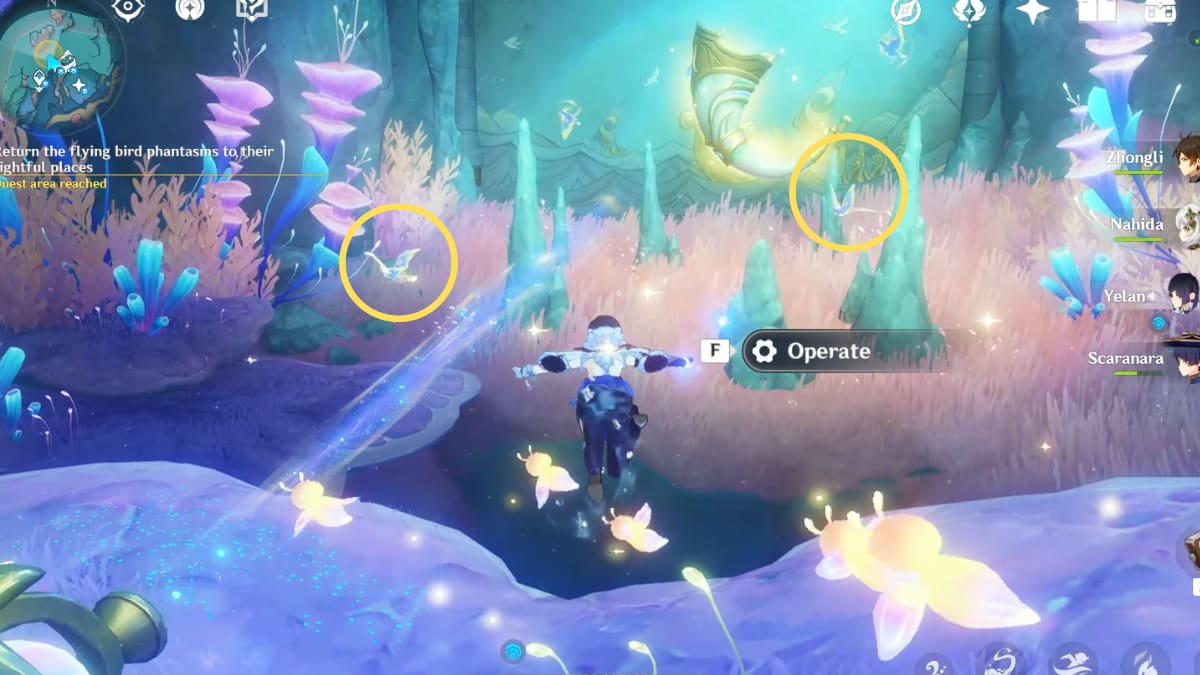 How to return the flying bird phantasms to their rightful places in ...