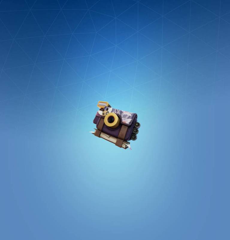 Fortnite Snapshot Pack Back Bling - Pro Game Guides