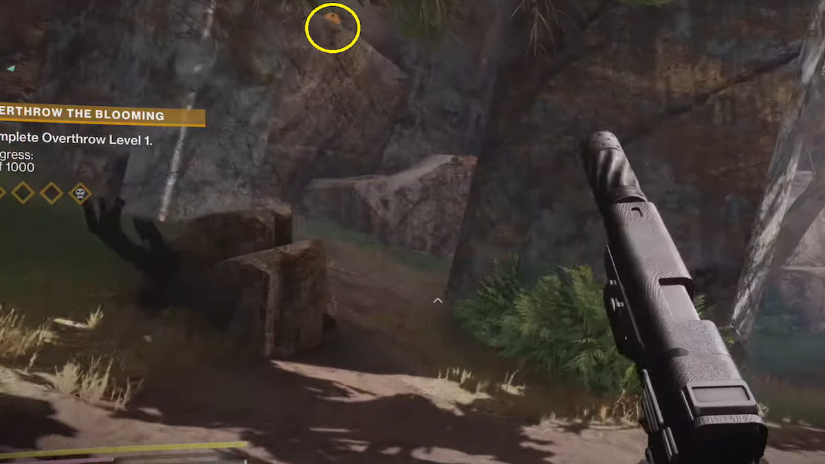 All Pale Heart Region Chest Locations in Destiny 2: The Final Shape ...