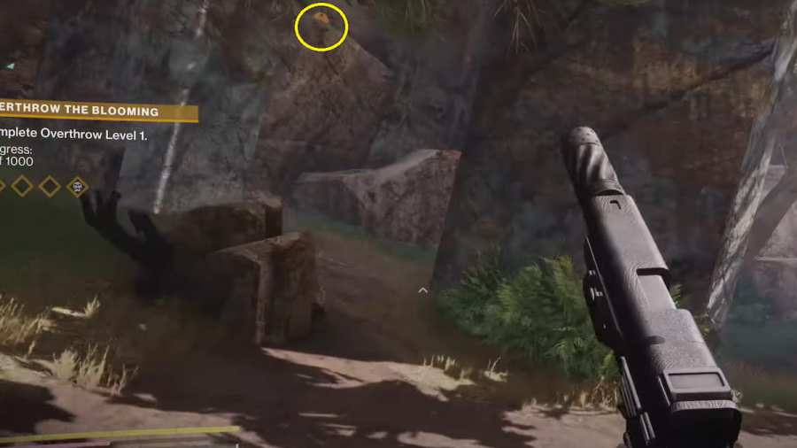 All Pale Heart Region Chest Locations in Destiny 2: The Final Shape ...