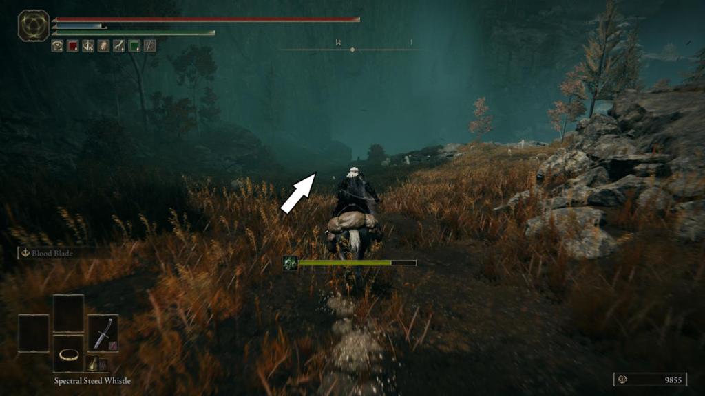 How to get to the Ellac River & The Cerulean Coast in Elden Ring ...