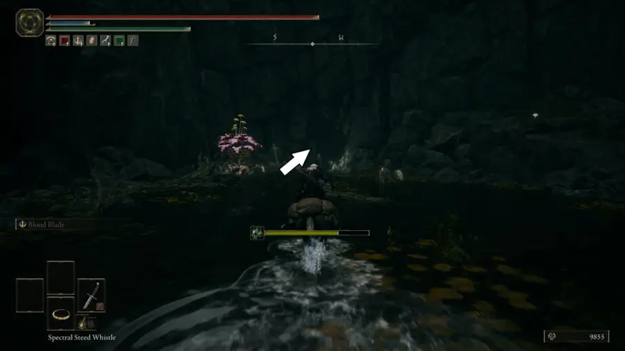 How to get to the Ellac River & The Cerulean Coast in Elden Ring ...