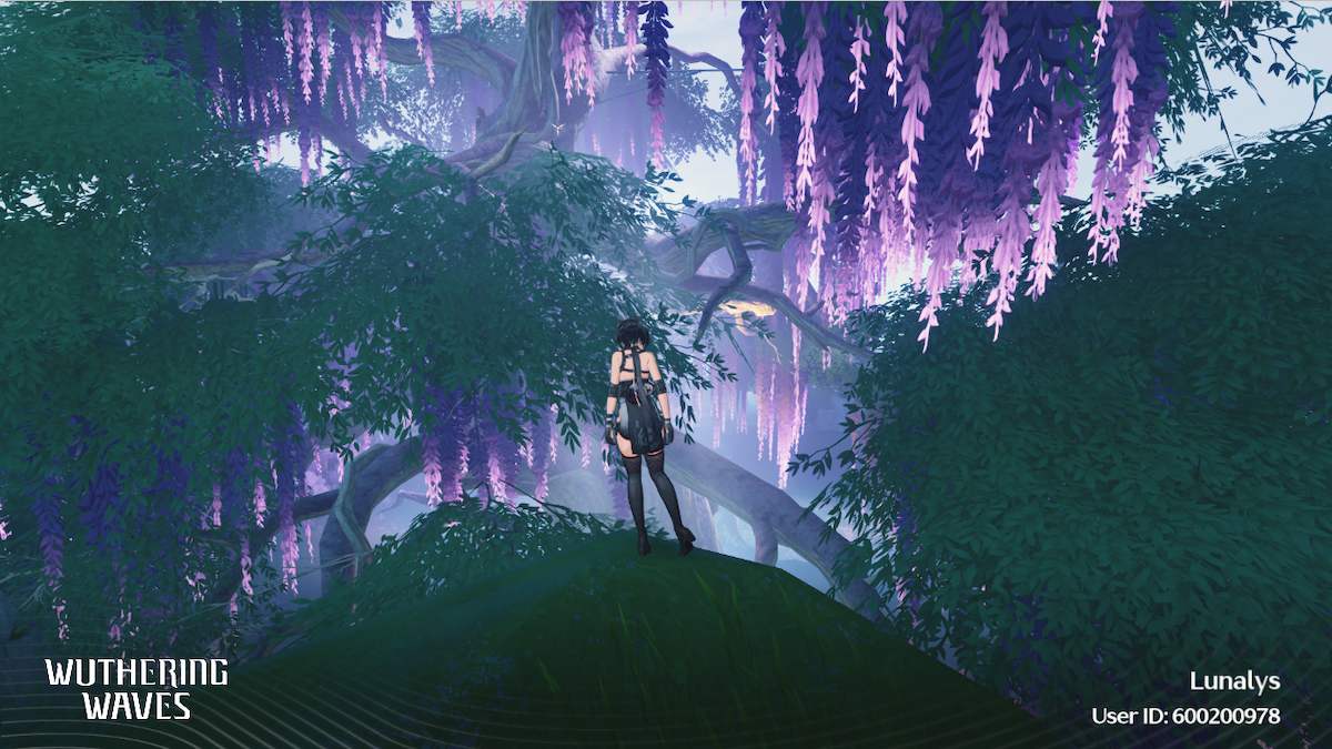 Top 10 landmarks in Wuthering Waves | Pro Game Guides