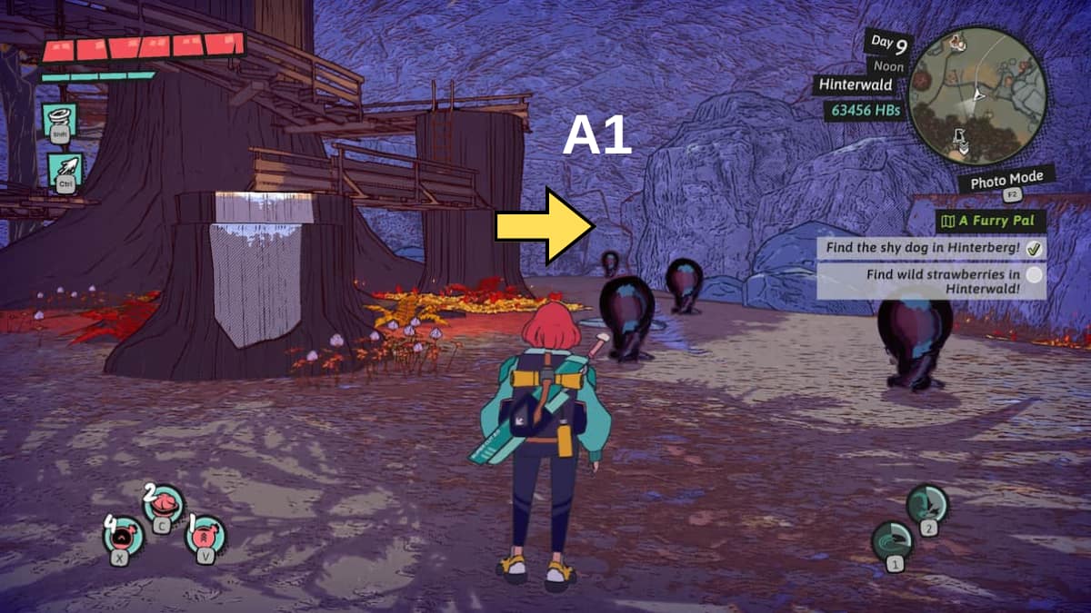 Dungeons of Hinterberg Walkthrough | Pro Game Guides