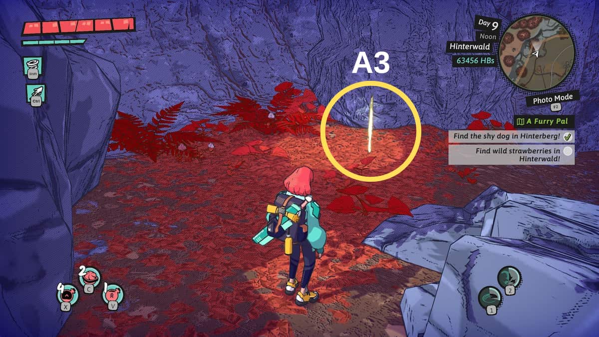 Dungeons of Hinterberg Walkthrough | Pro Game Guides