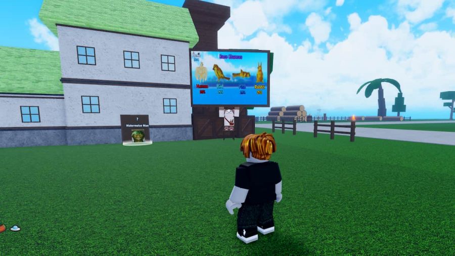 All Race Buffs in Meme Sea- Roblox | Pro Game Guides