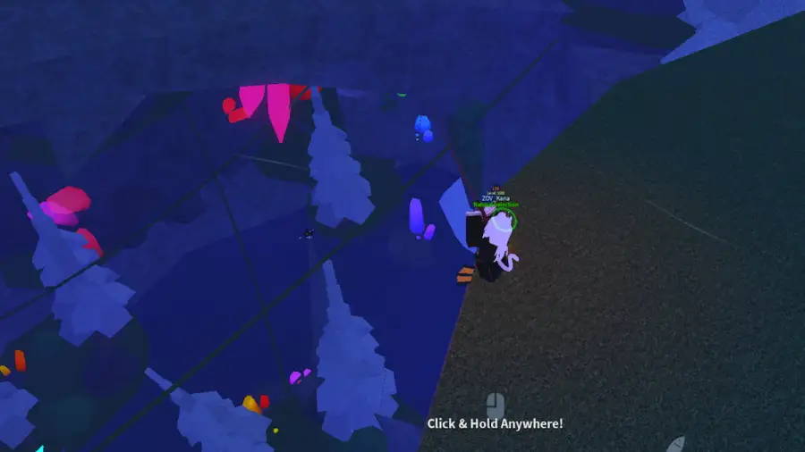 All 9 Fishes in Calm Zone (100% Bestiary) – Fisch | Pro Game Guides